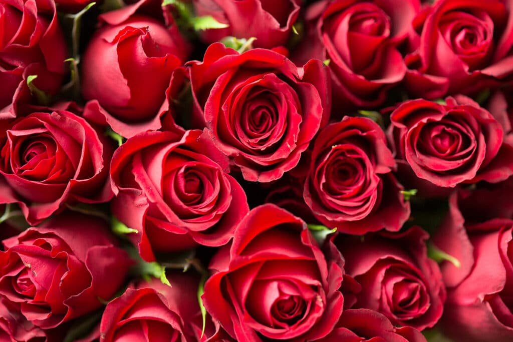 7 Most Fascinating Valentine's Day Traditions Around the World | Time ...